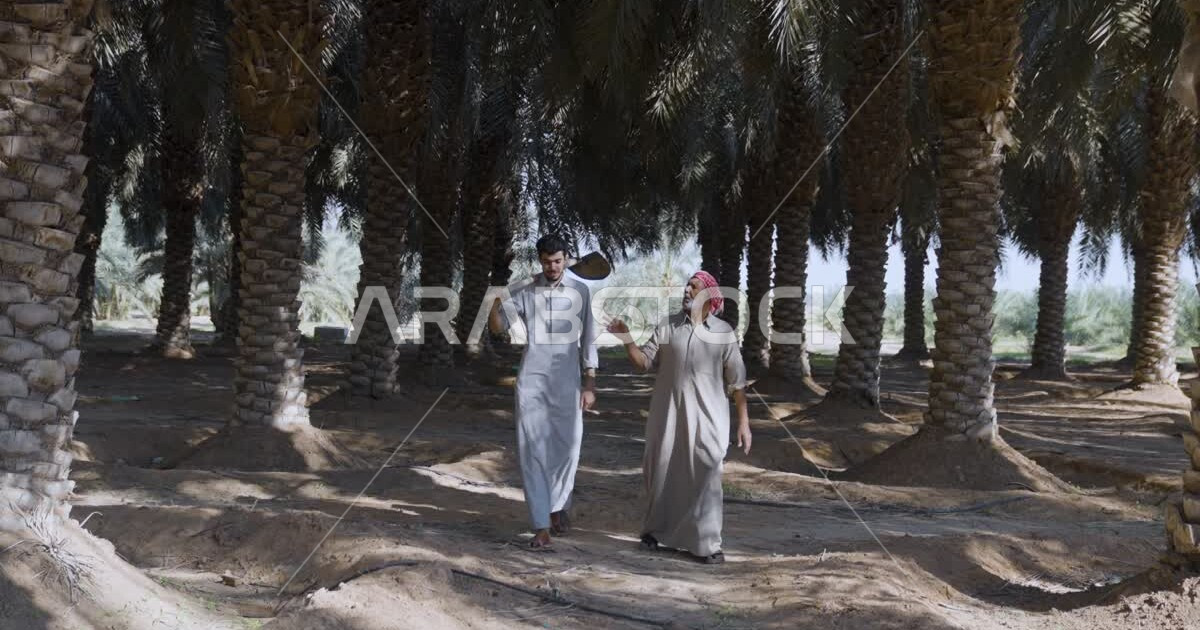 Agricultural fields and lands, a local national Arab product, date and ...