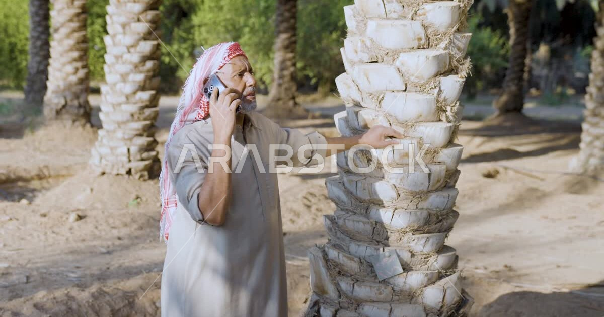 Professionalization of the agricultural profession, date farms in the ...