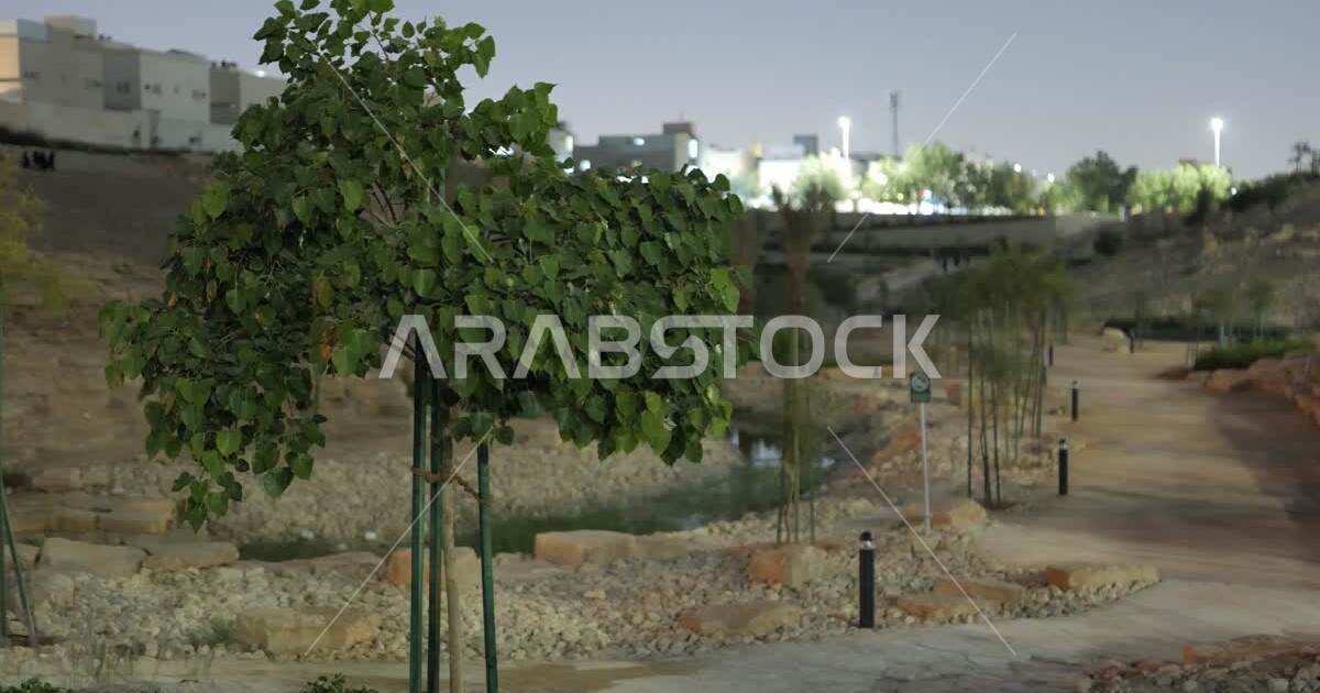 An oasis full of greenery and flowers at night, an ideal destination ...