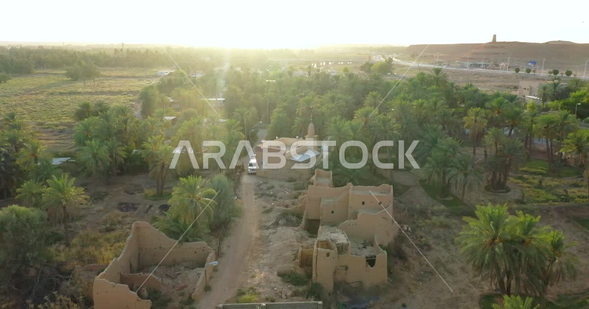 Planting palm trees and increasing green space in Saudi Arabia, aerial ...