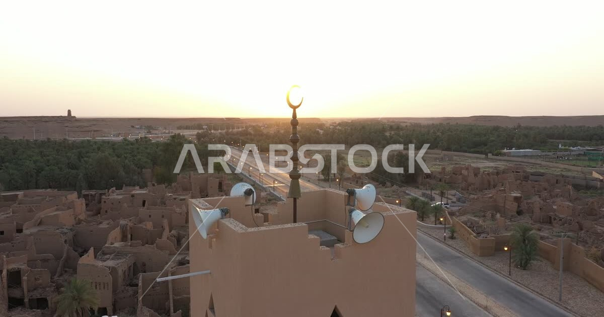 Paying attention to planting trees and green plants, illuminating the ...