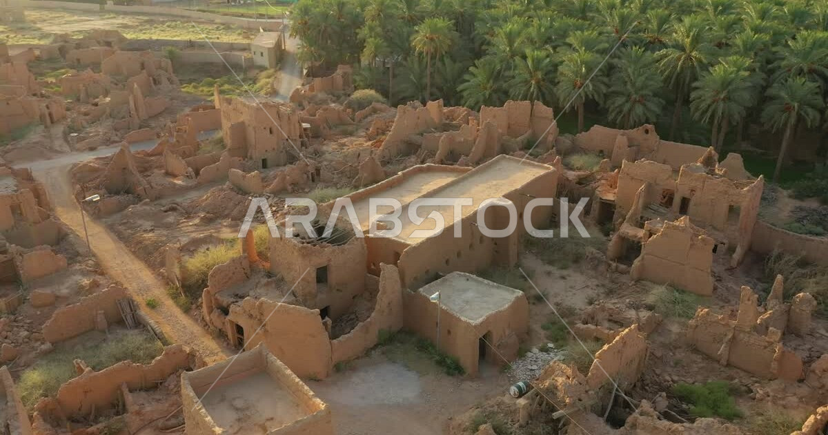 Desert nature in the Kingdom of Saudi Arabia, attention to the trees ...