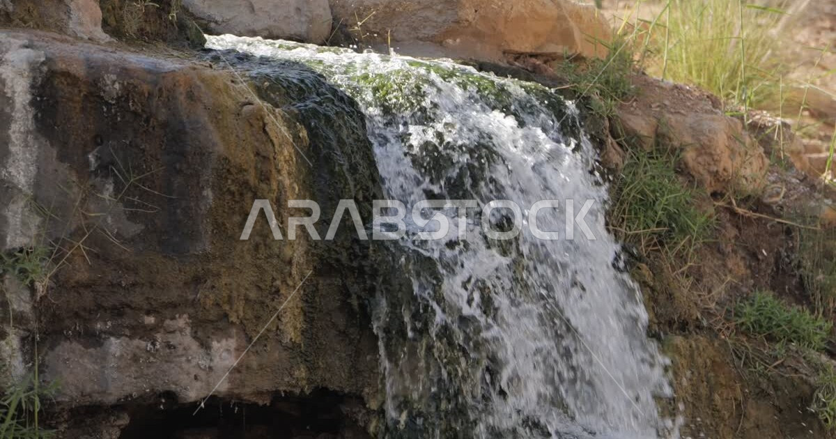 Distinctive landscapes in parks, pure water stream, close-up ...