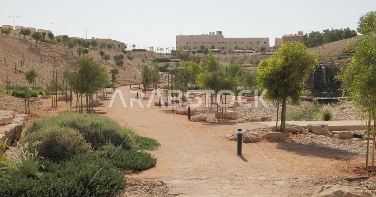 Enjoying spending time in natural places, a public park in the Kingdom ...