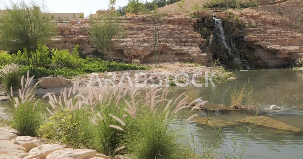 Natural waterfalls on the slopes and slopes, interest in nature in the ...