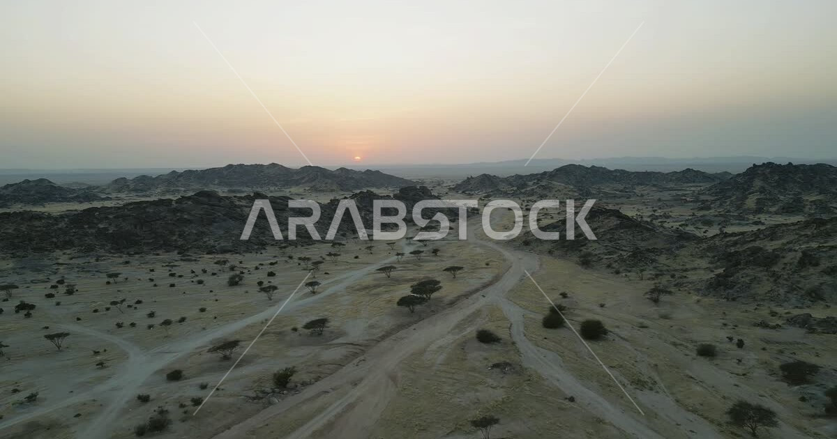 Prairie and desert environment in the Kingdom of Saudi Arabia ...