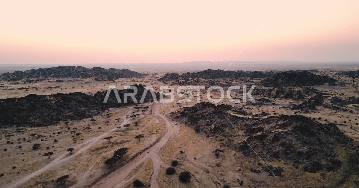 The growth of green plants and wild herbs in the desert lands, aerial ...