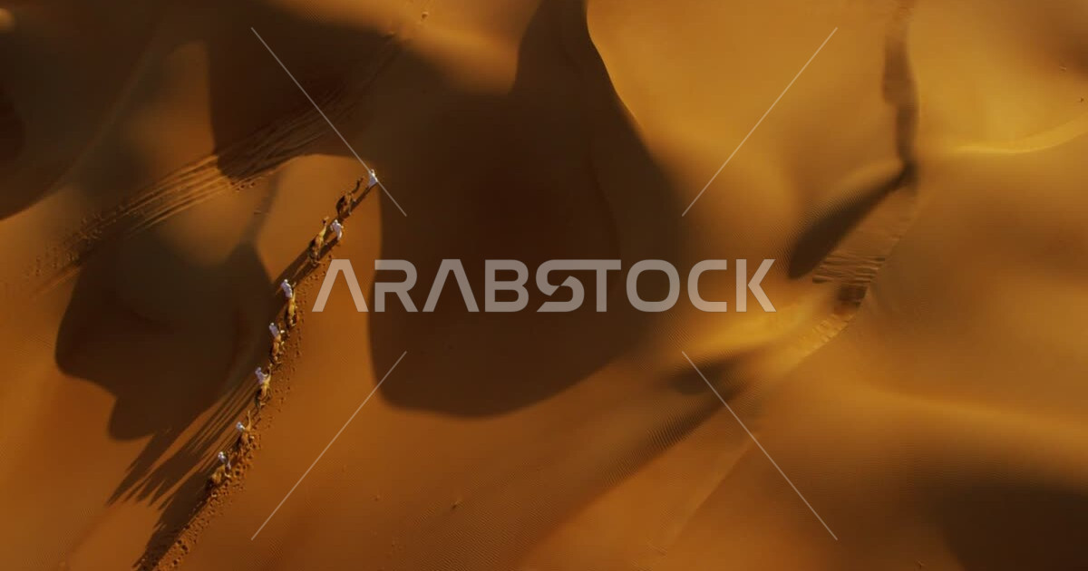 A natural reserve in the Empty Quarter desert, aerial drone photography ...