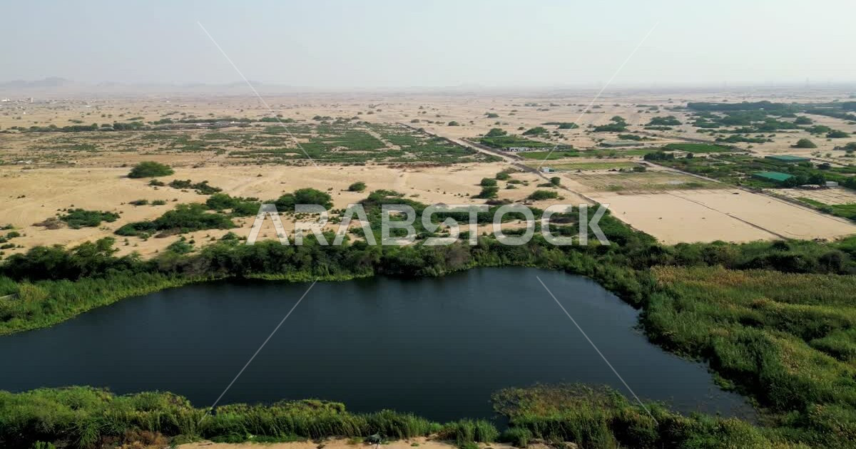 The landscape of the natural oasis in the city of Mecca, planting trees ...