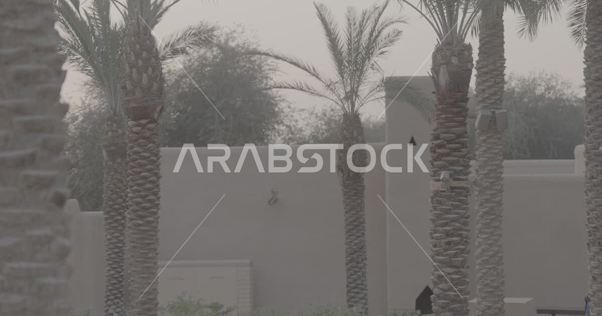Planting plants and green palm trees, the historic Diriyah development ...