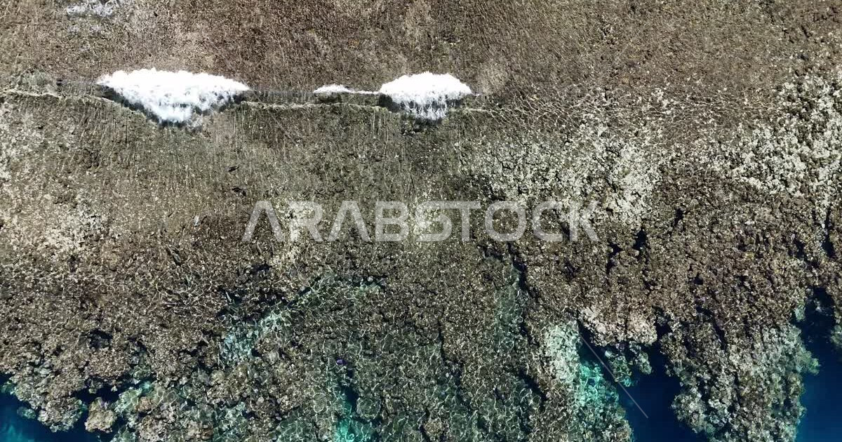 NEOM Beach in the city of Tabuk, tourist coastal areas in the Kingdom ...