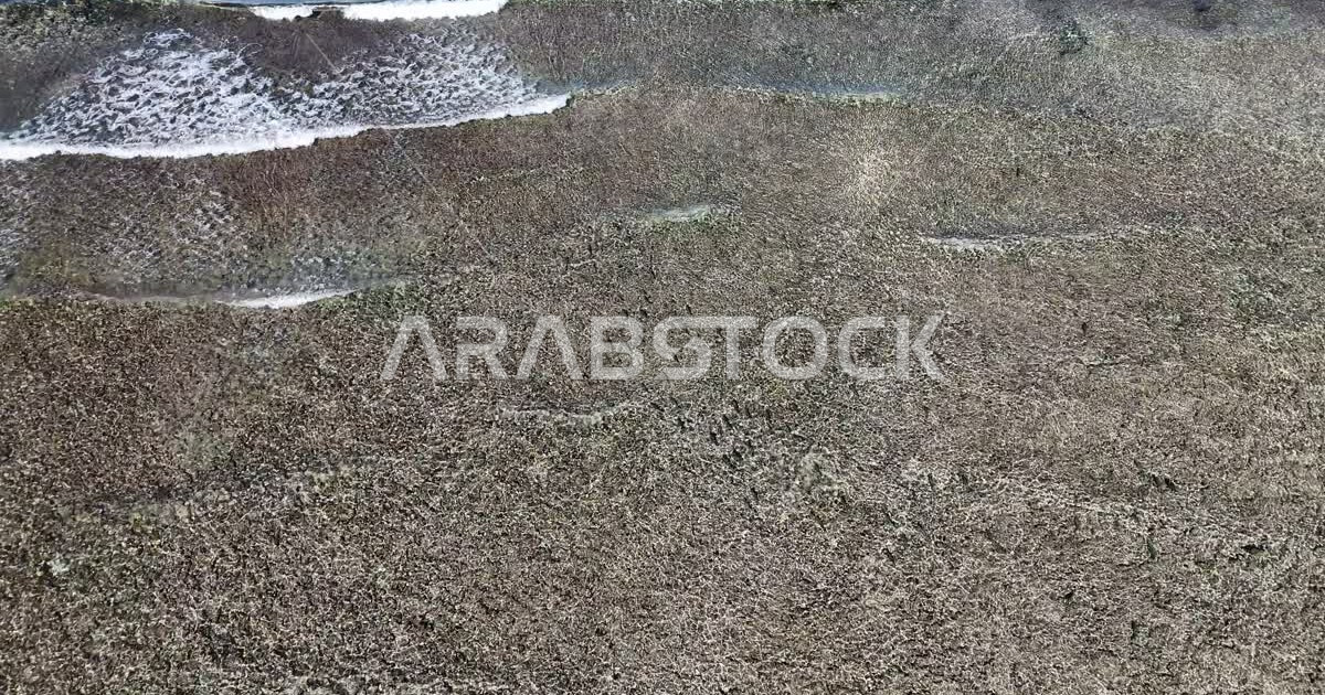 NEOM Beach in the city of Tabuk, tourist coastal areas in the Kingdom ...