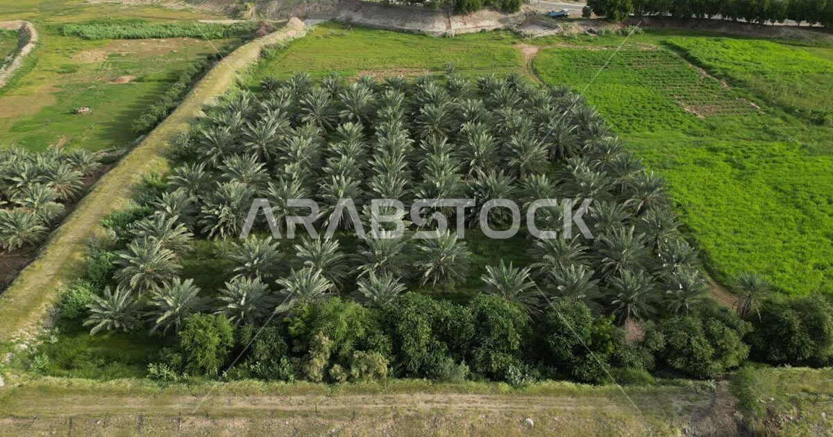 Landscapes in the Kingdom of Saudi Arabia, vertical aerial photography ...