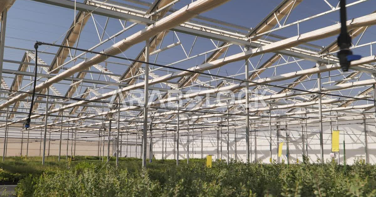 Automatic roof for greenhouses for growing natural plants, techniques ...