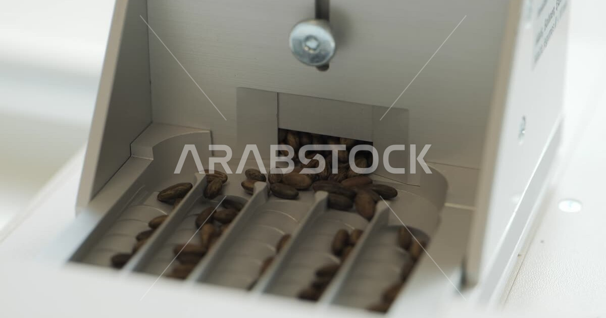 Plant seed lines for planting in the greenhouse, seed sorting machines ...