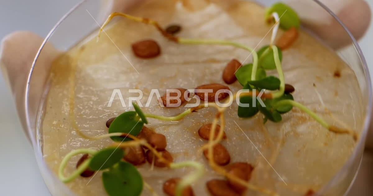 Interest in afforestation and cultivation of local crops, the Green ...