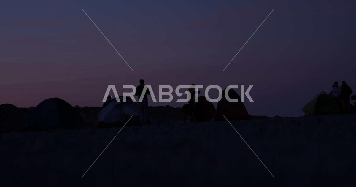 Organizing recreational activities and exploratory events, enjoying the ...