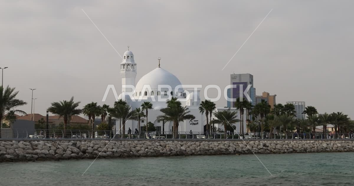 Interest in planting trees and green plants in the Kingdom of Saudi ...