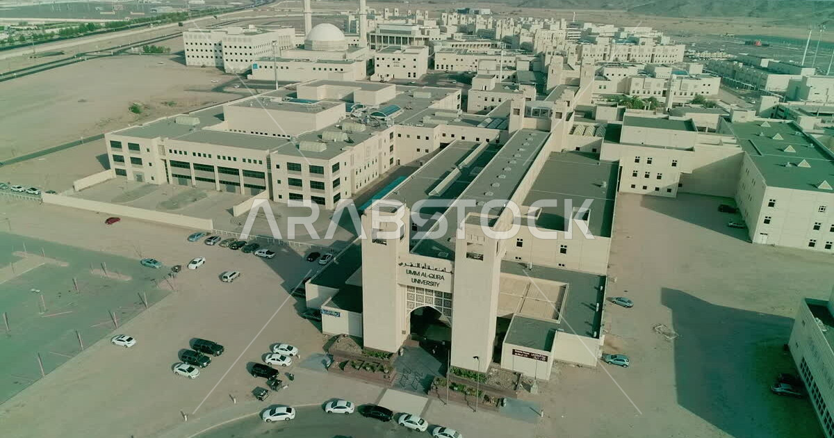 Construction of educational edifices, buildings and mosques in Mecca ...