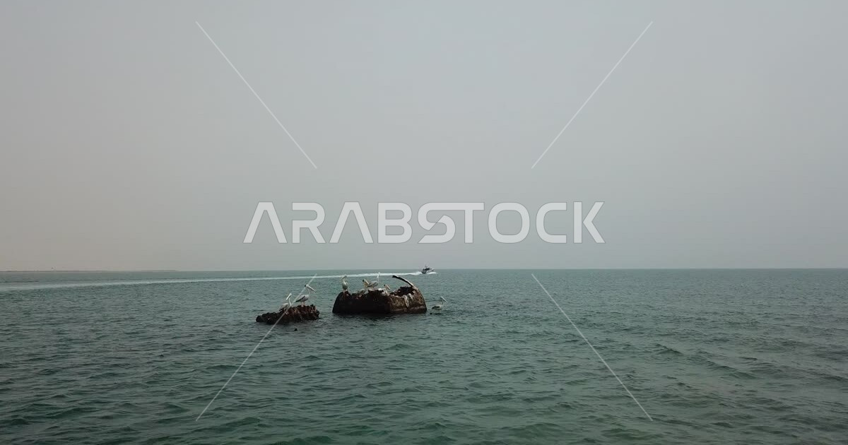 A coastal tourist destination in the Kingdom of Saudi Arabia, a group ...