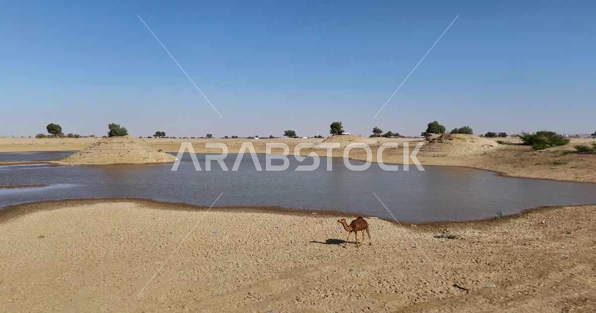 Najran Water Lake in the Kingdom of Saudi Arabia, aerial drone ...