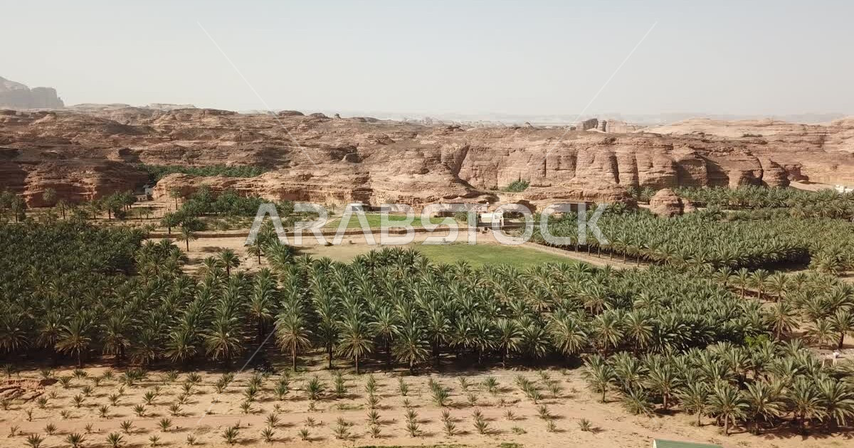 AlUla Valley in the Kingdom of Saudi Arabia, trees, plants and green ...