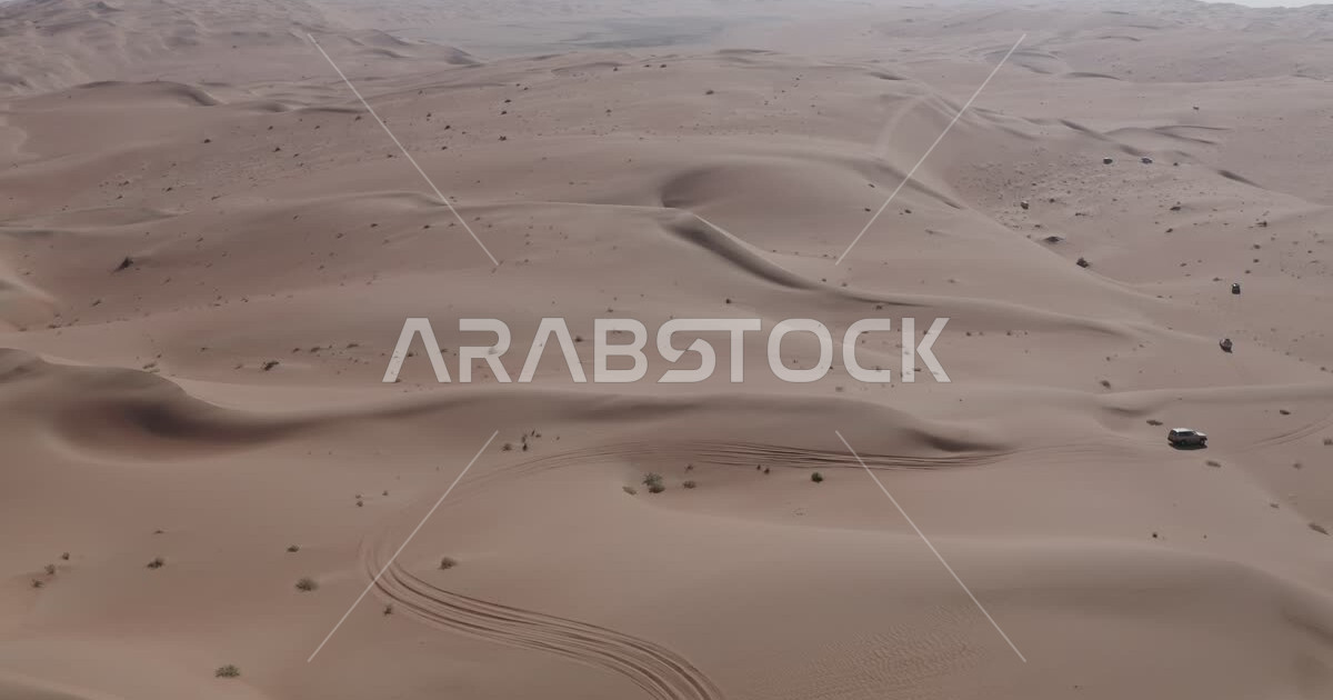 Spend a unique trip in the desert environment, places for safari ...