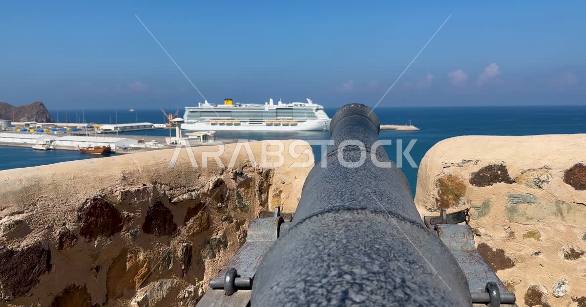 Distinctive marine nature, close-up photography of a cannon on the ...