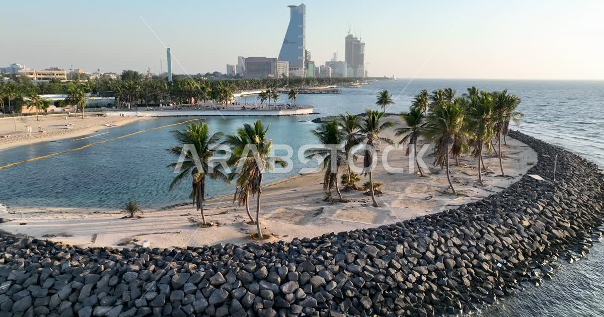 Palm trees and green plants in coastal areas, famous tourist places in ...
