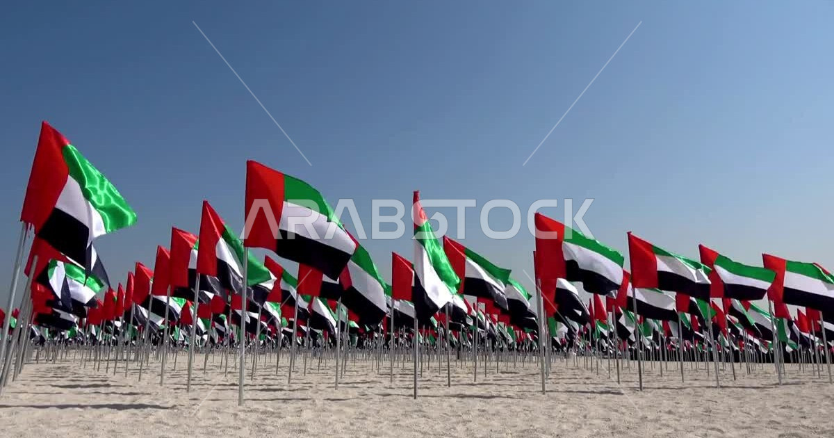 Pride and pride in Emirati symbols and culture, national holidays and ...