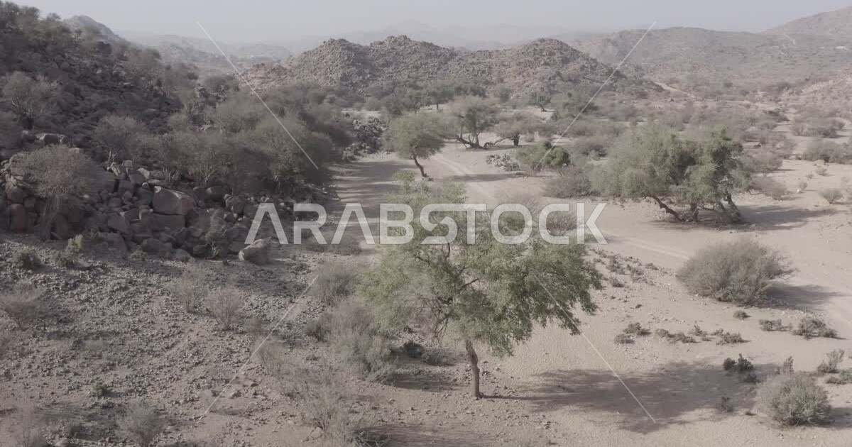 Soft sand dunes and hills in the vast Arabian Desert, desert landscapes ...