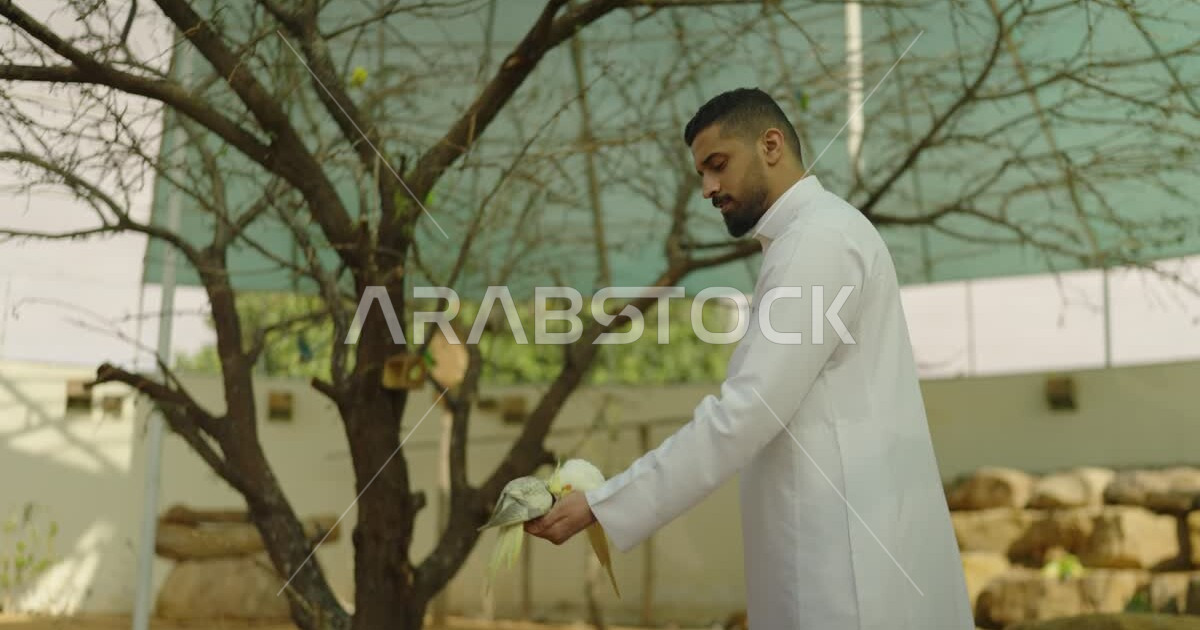 Raising and caring for wild animals, entertaining activities and events ...