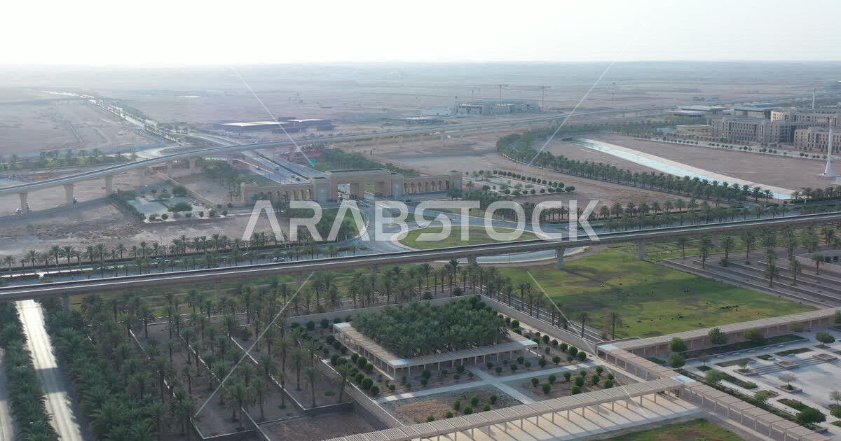 The progress and development of university education in the Kingdom of ...