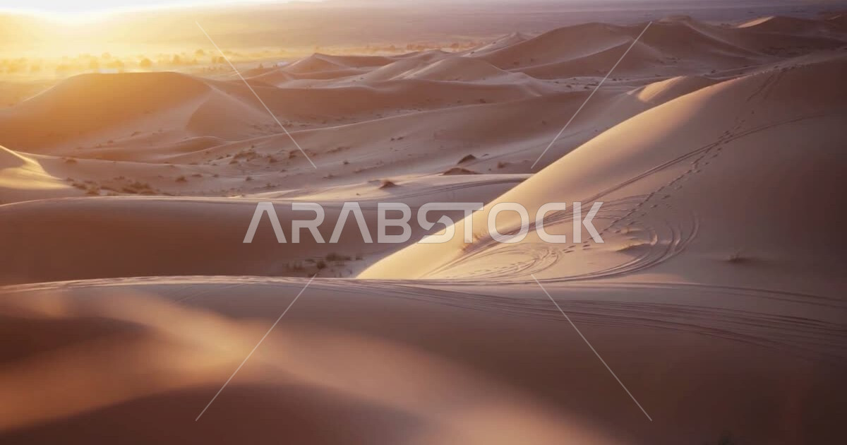 Dunes and soft golden sand, drone photography of the desert lands in ...