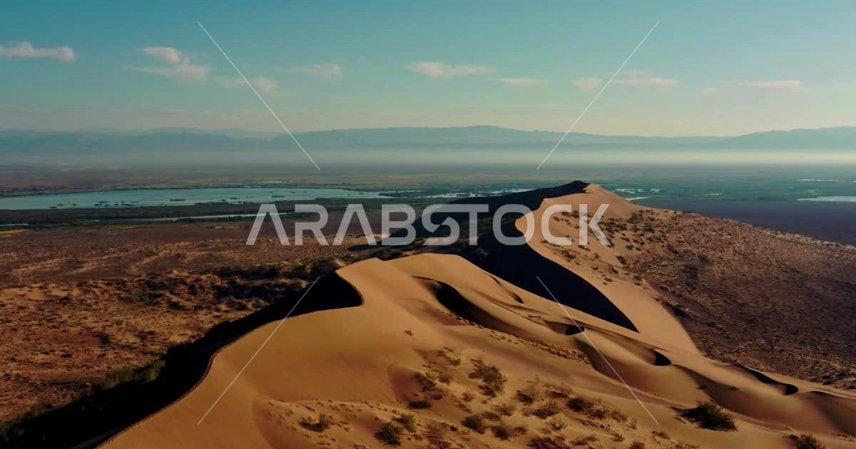 Dunes and soft golden sand, drone photography of the desert lands in ...