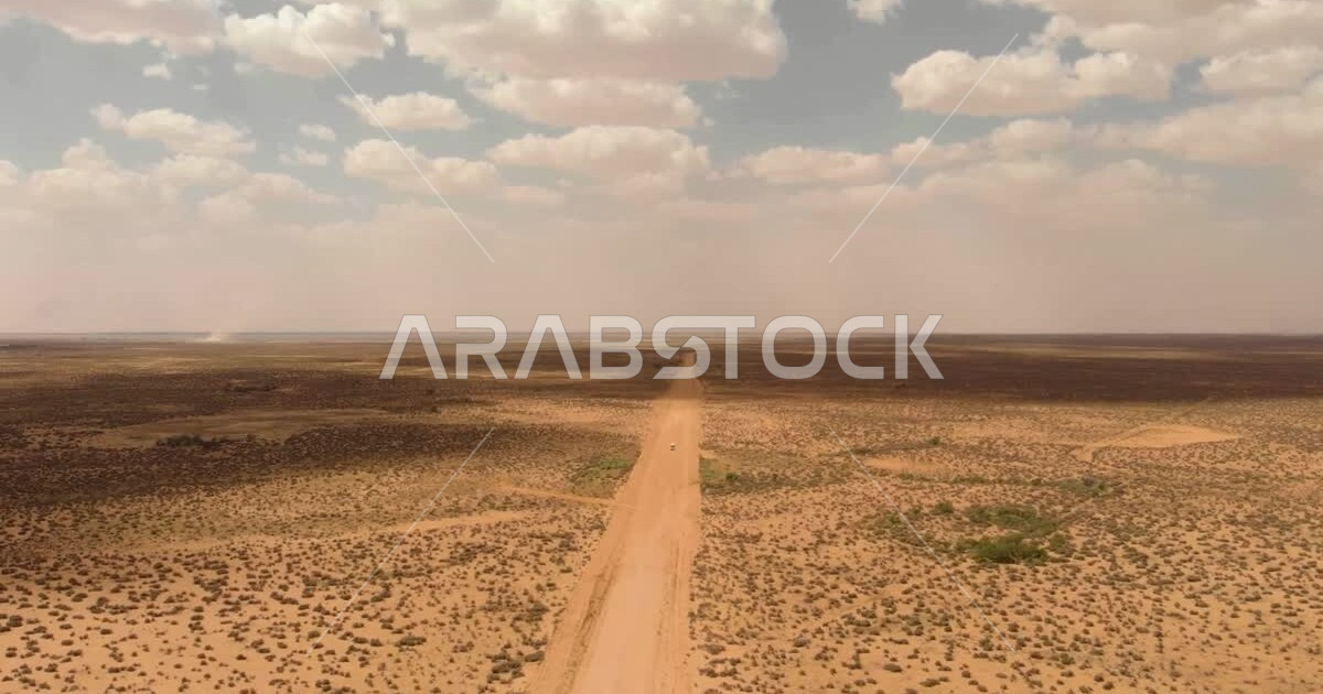 Distinctive natural landscapes, dunes and soft golden sand, drone ...
