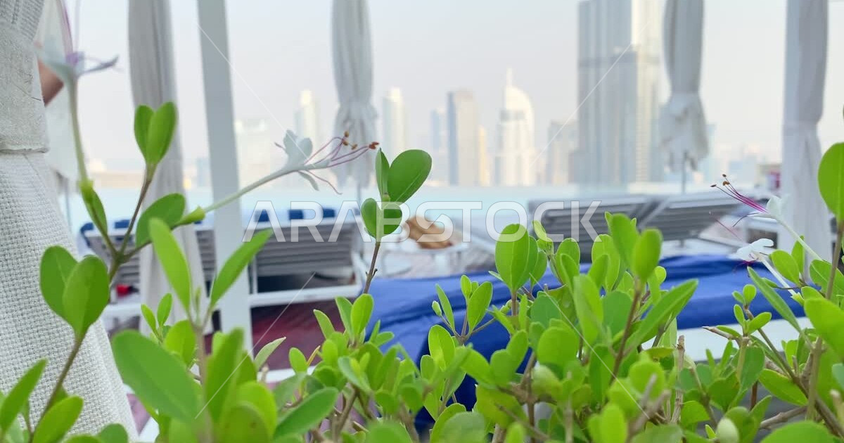 Waterfront overlooking the Arabian Gulf, advanced and sophisticated ...