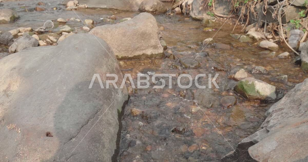 Overview of the natural environment in the Kingdom of Saudi Arabia ...
