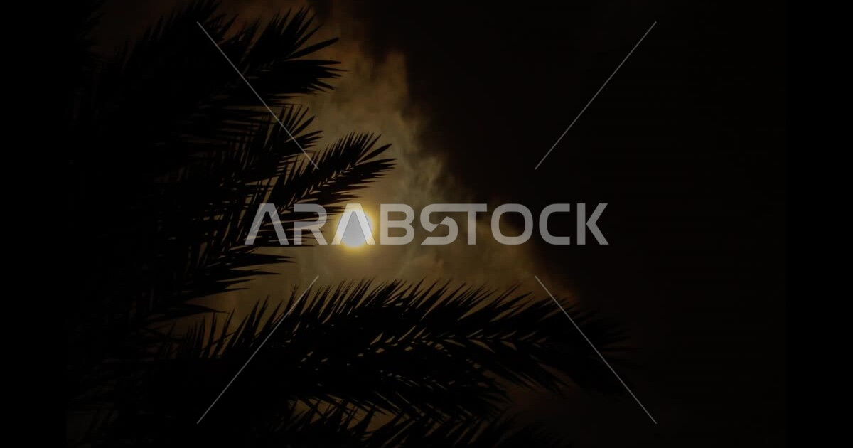 Enjoying the natural scenery in Najran, famous tourist places in Saudi ...