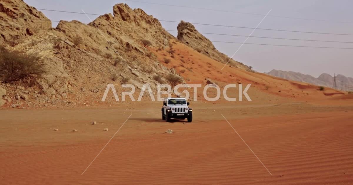 Jeep driving in Abu Dhabi desert, sand dune tours in UAE, spending a ...