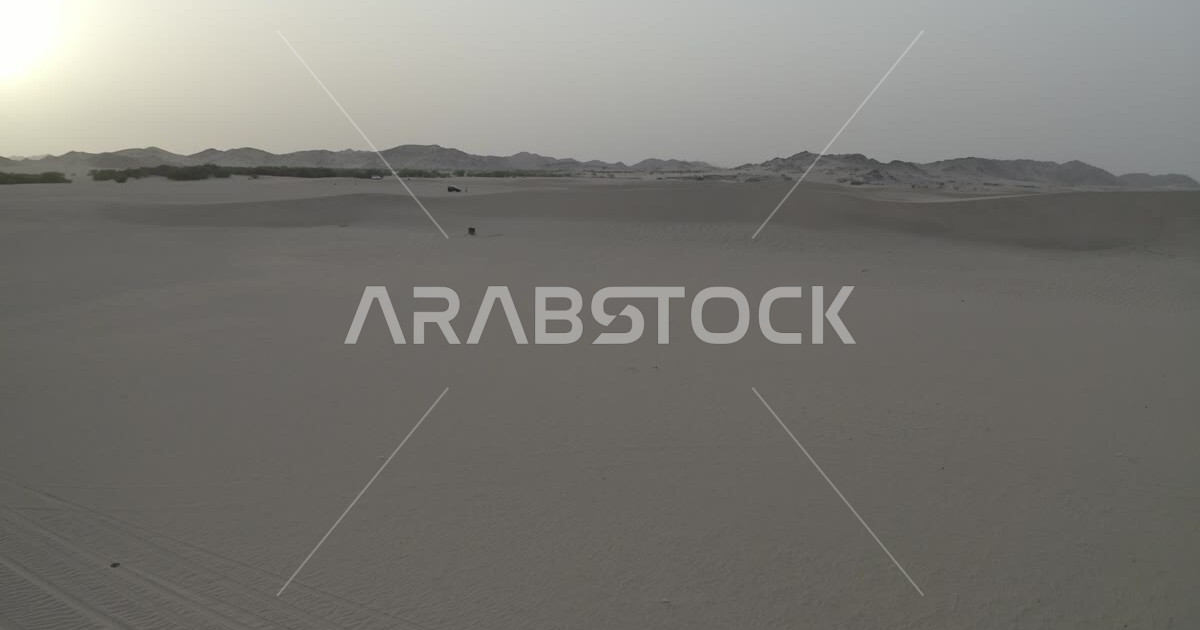 Soft sand dunes and hills in the vast Arabian Desert, desert landscapes ...