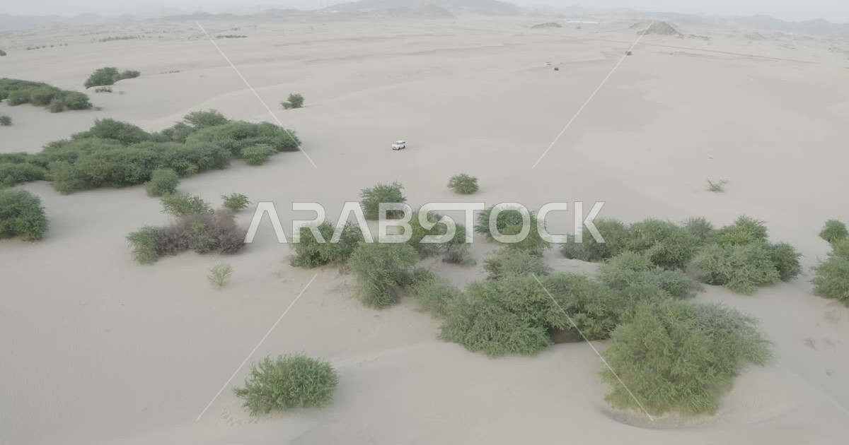 Sand dune safari, fun desert activities and events, exciting adventures ...