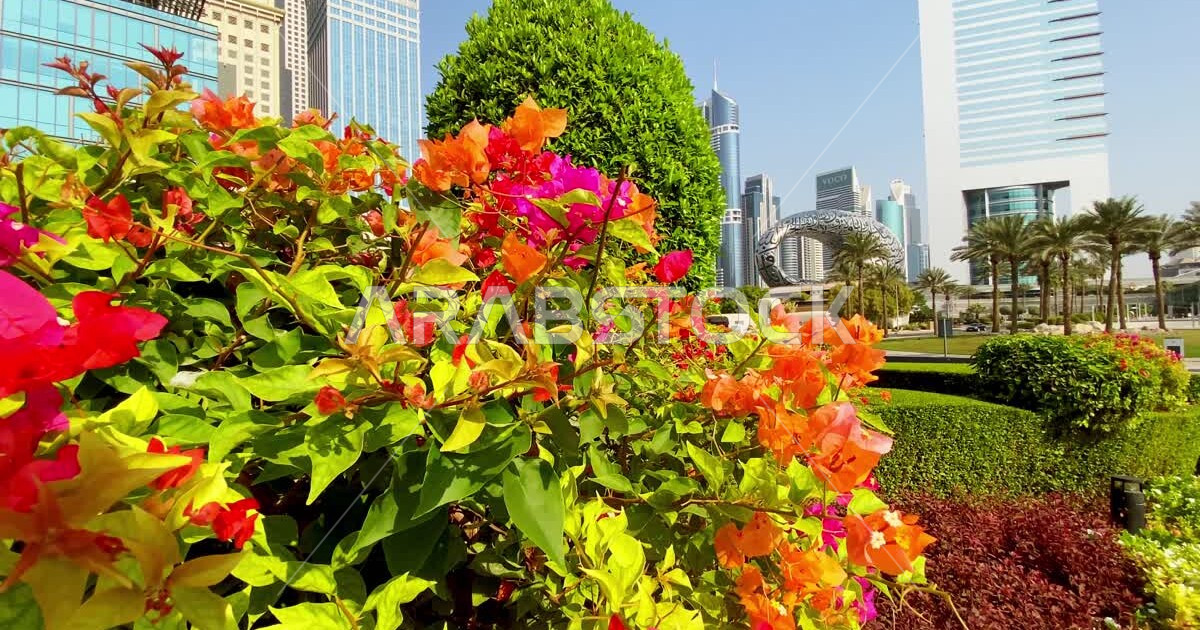 Interest in afforestation and planting green plants and palm trees in ...