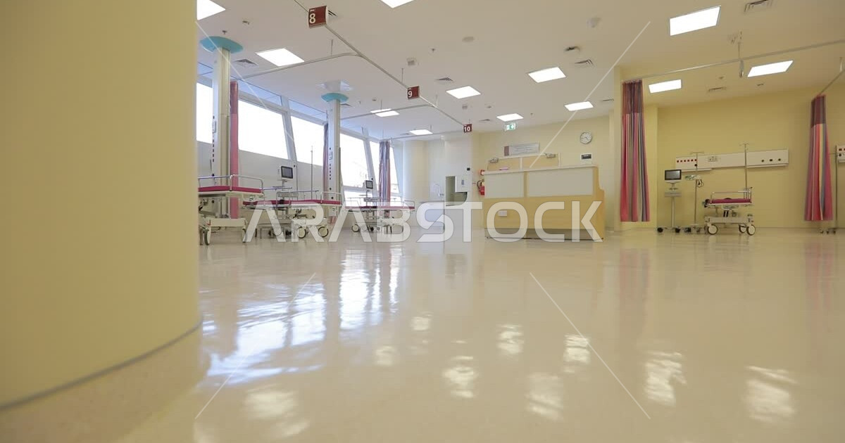 Opening a new hospital with modern interior designs and decorations ...