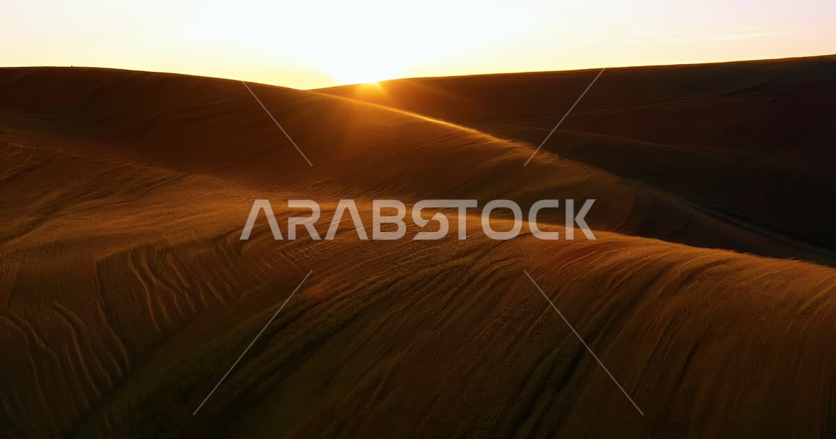 Deserts of the Kingdom of Saudi Arabia, soft golden sand in the desert ...