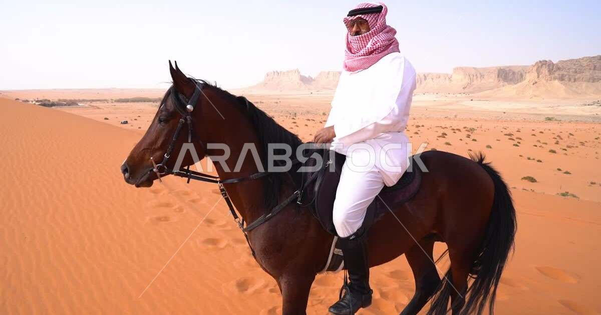 A Saudi Gulf rider riding horses in the picturesque Saudi desert in the ...