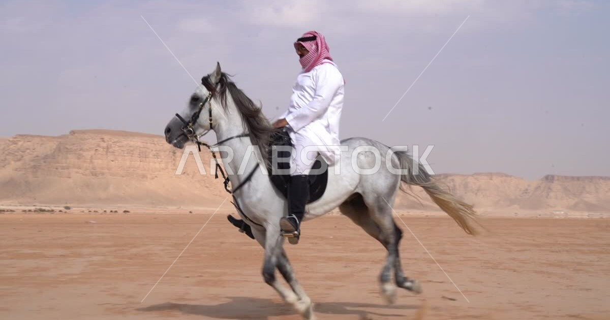 A Saudi Gulf rider riding horses in the picturesque Saudi desert in the ...