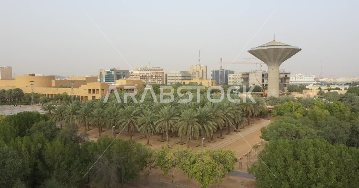 A view from above of a garden full of palm trees in Al-Fouta ...