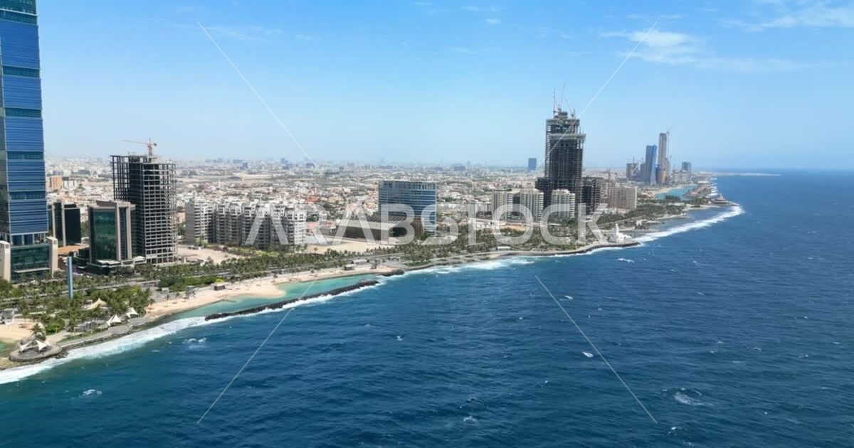Interest in afforestation and planting green plants on the Jeddah ...