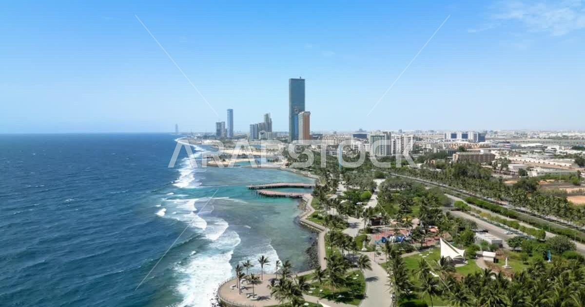 Interest in afforestation and planting green plants on the Jeddah ...